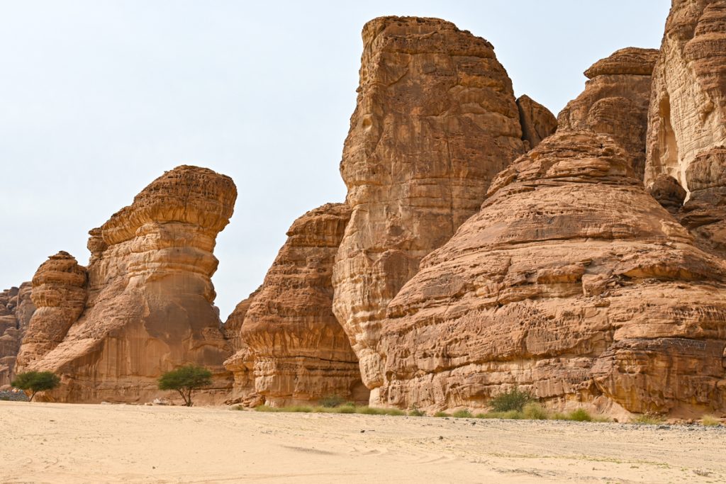 Things to Do in AlUla, Saudi Arabia [Ultimate Bucket List!]